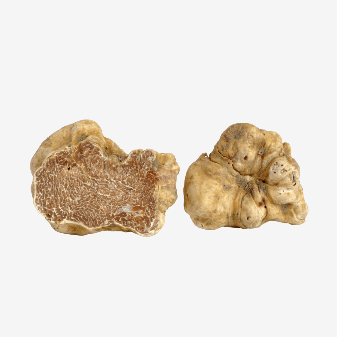 Fresh Truffles | DR Delicacy